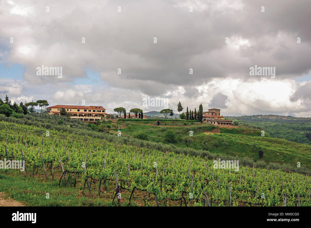 Tuscany, Italy. Villa with typical house of the Tuscan countryside, an ...
