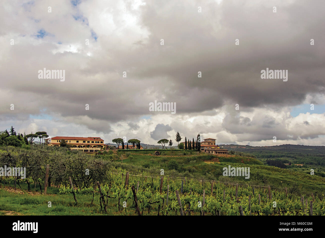 Tuscany, Italy. Villa with typical house of the Tuscan countryside, an ...
