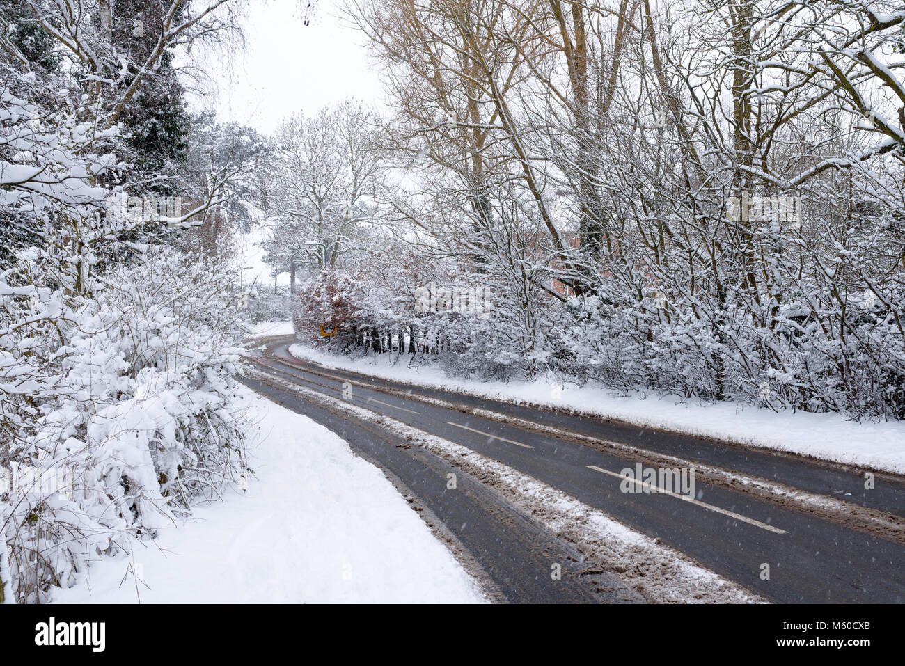 Road through Snow Stock Photo - Alamy
