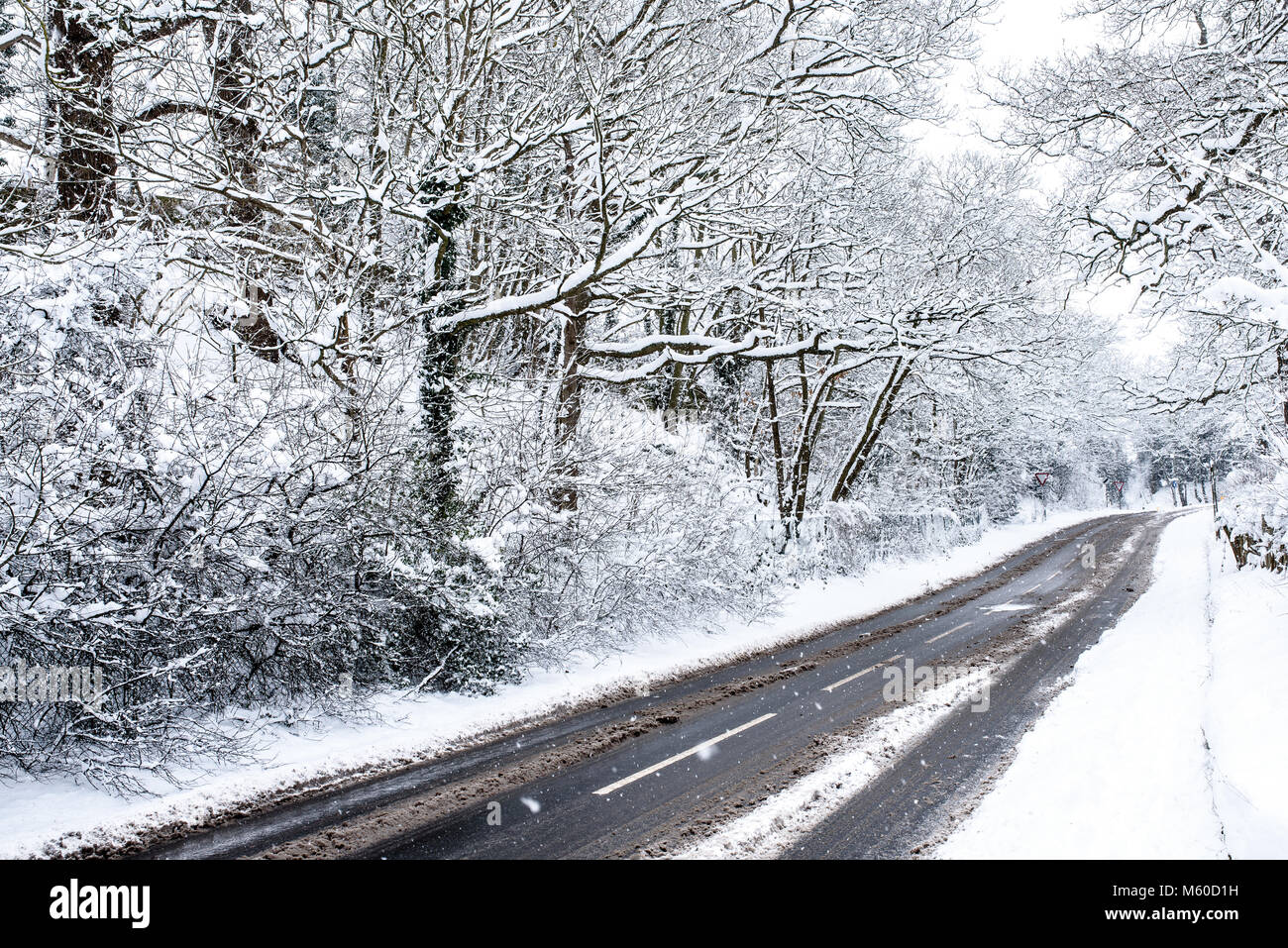 Road through Snow Stock Photo - Alamy