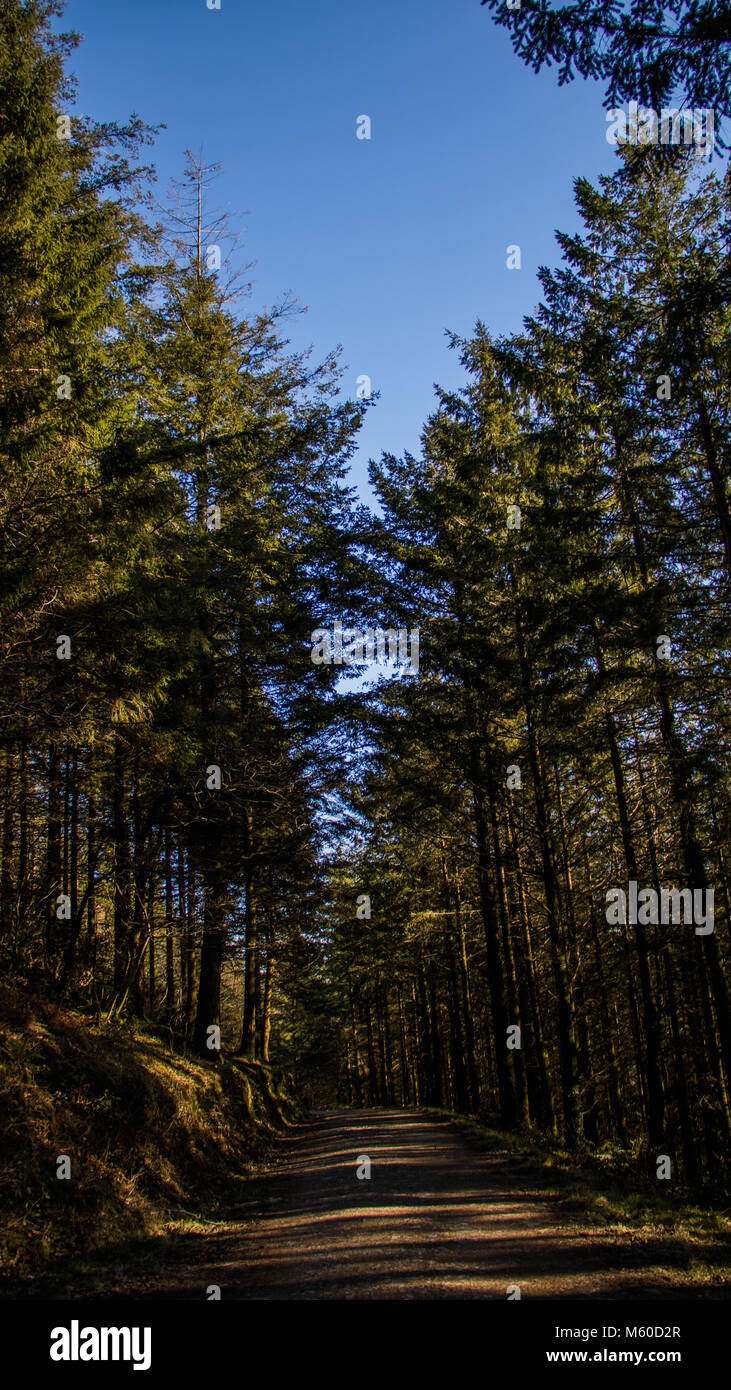 Cubert hi-res stock photography and images - Alamy