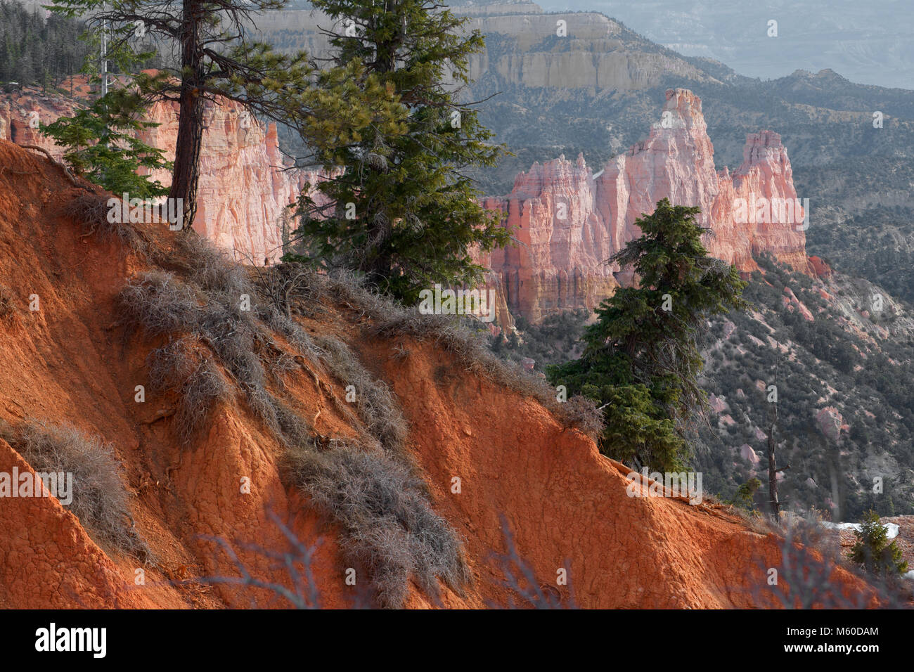 Bryce Canyon, Utah, in the early spring Stock Photo - Alamy