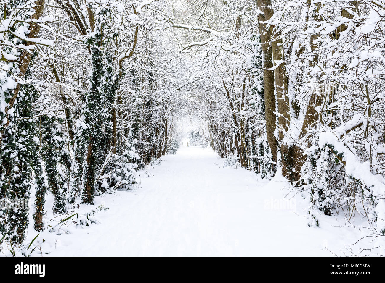 Gate entrance in Snow Stock Photo - Alamy