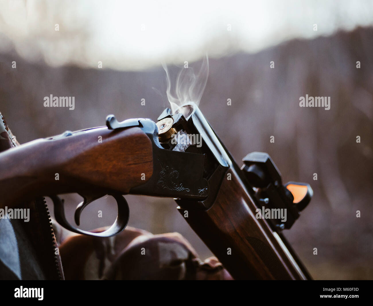 Shotgun shells and shot on black background. Loaded with bullets hunter ...