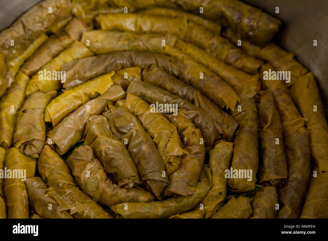 Greek Stuffed Grape Leaves With Rice and Herbs (Dolmadakia Stock Photo ...