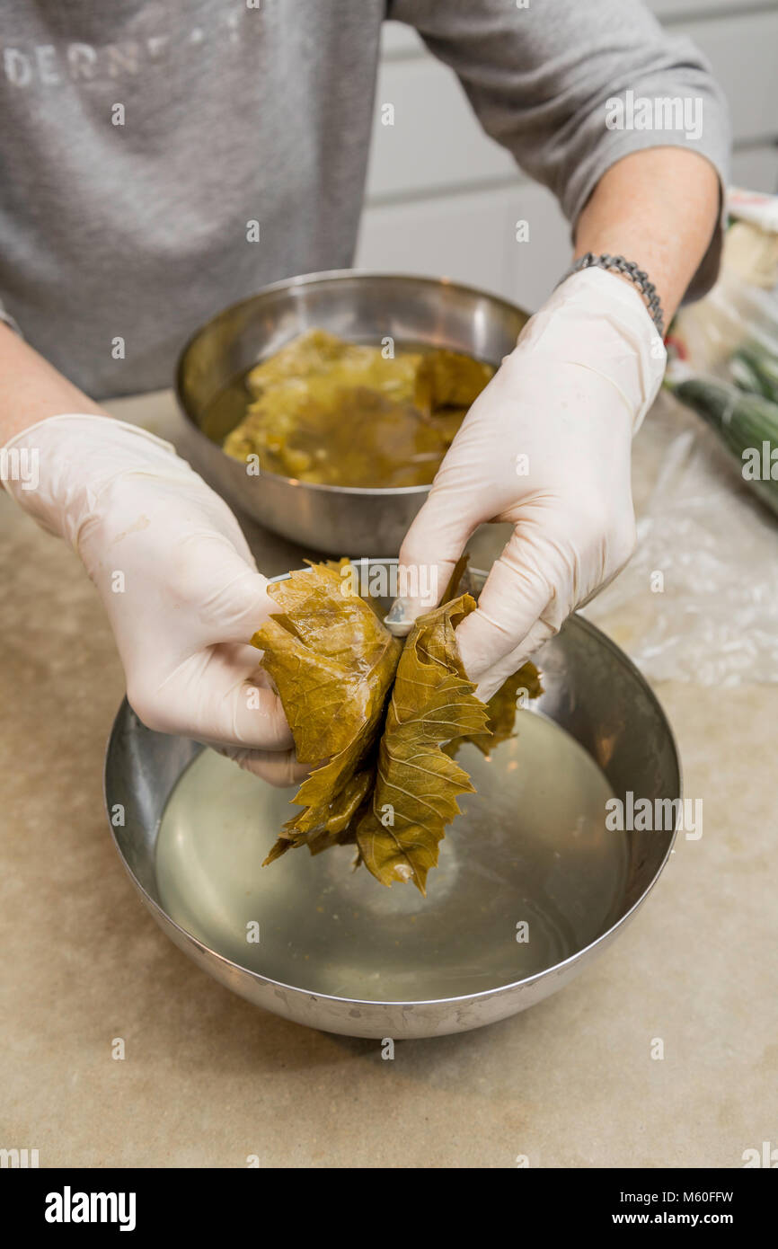 Greek Stuffed Grape Leaves With Rice and Herbs (Dolmadakia Stock Photo ...