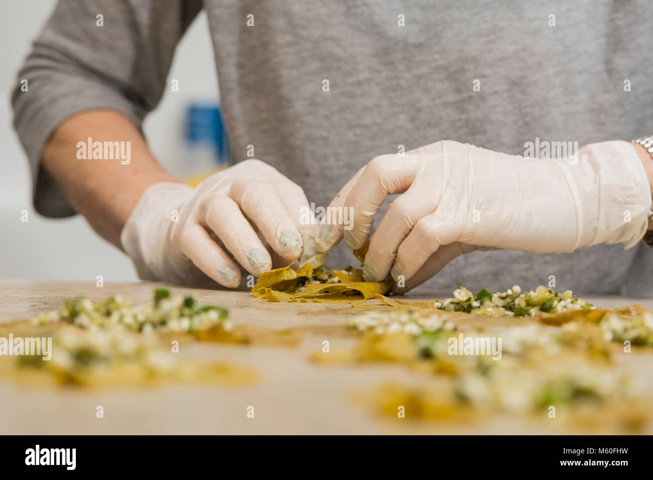 Greek Stuffed Grape Leaves With Rice and Herbs (Dolmadakia Stock Photo ...