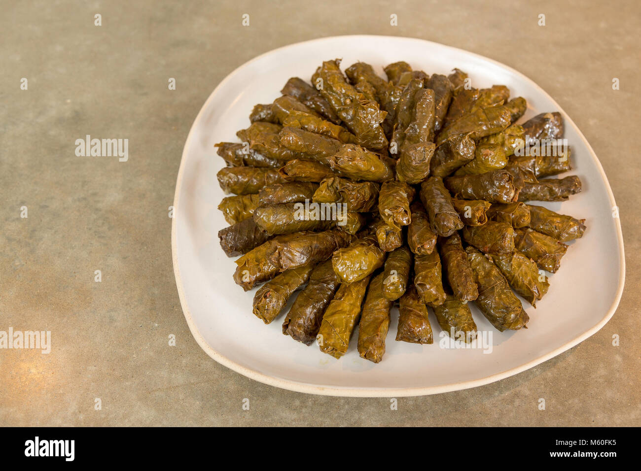 Greek Stuffed Grape Leaves With Rice and Herbs (Dolmadakia Stock Photo ...