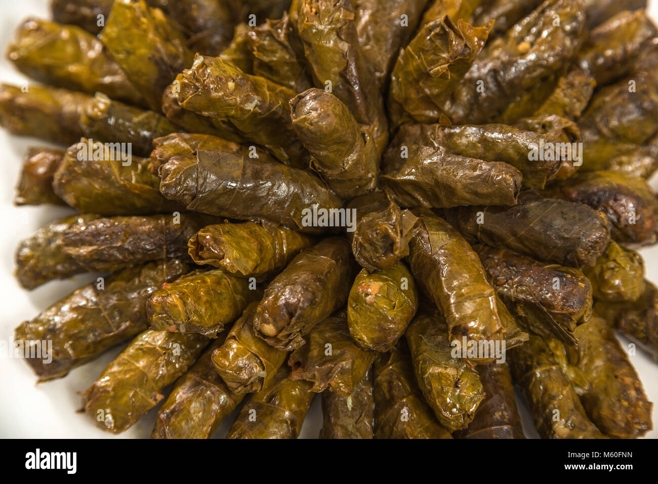 Greek Stuffed Grape Leaves With Rice and Herbs (Dolmadakia Stock Photo ...