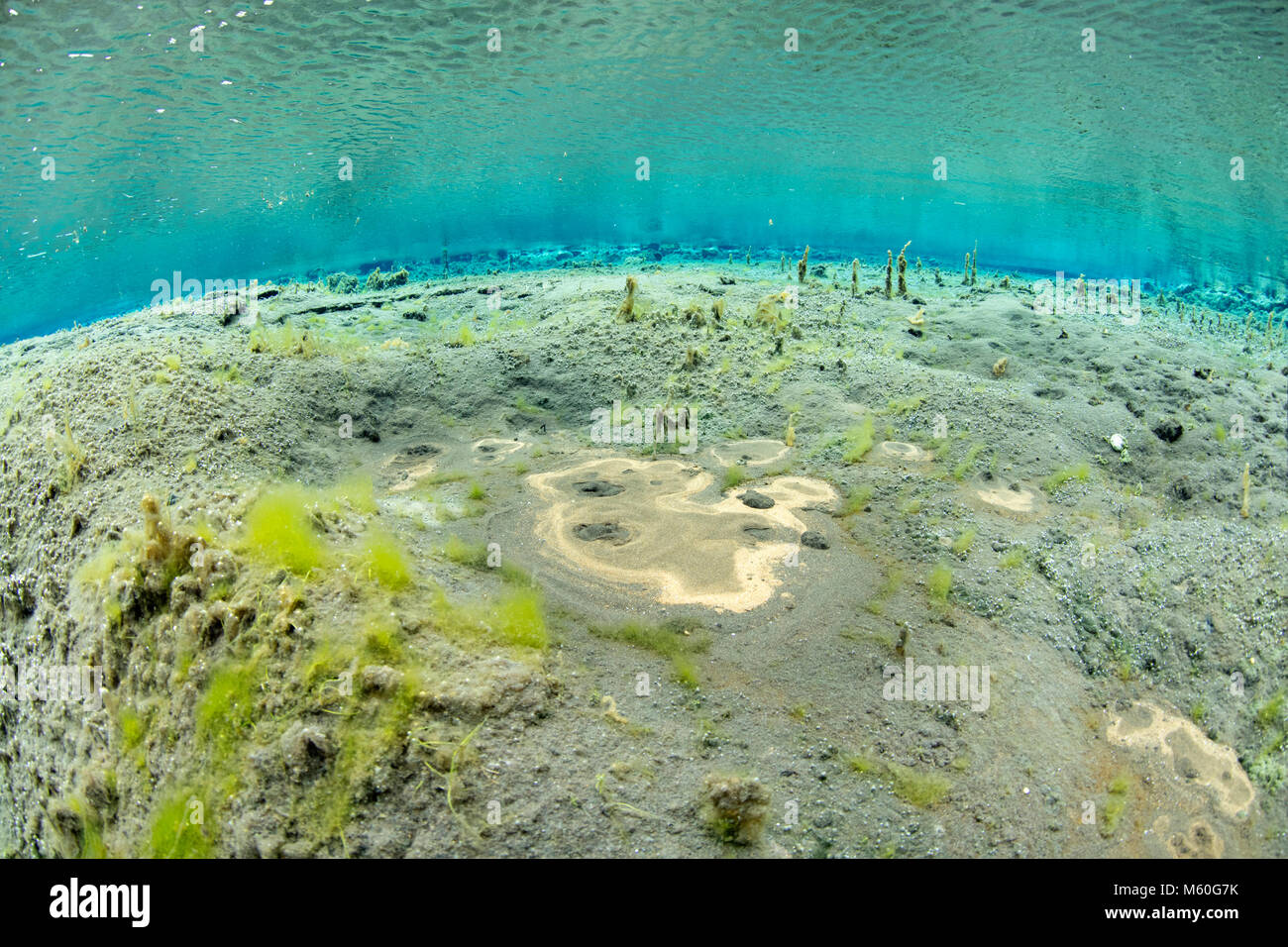 Litla hi-res stock photography and images - Alamy