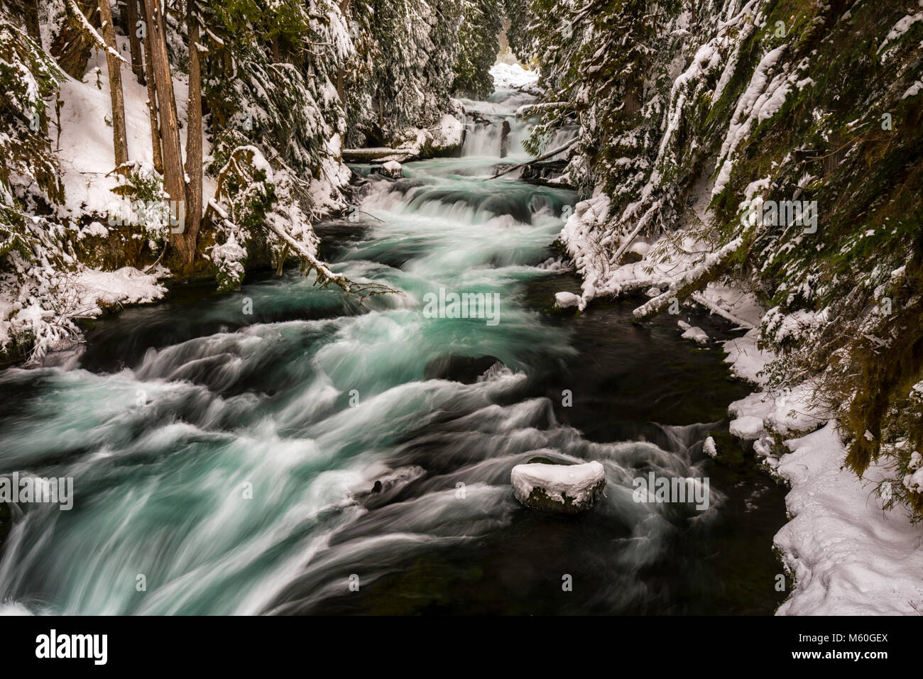 Winter, McKenzie River, oregon Stock Photo - Alamy