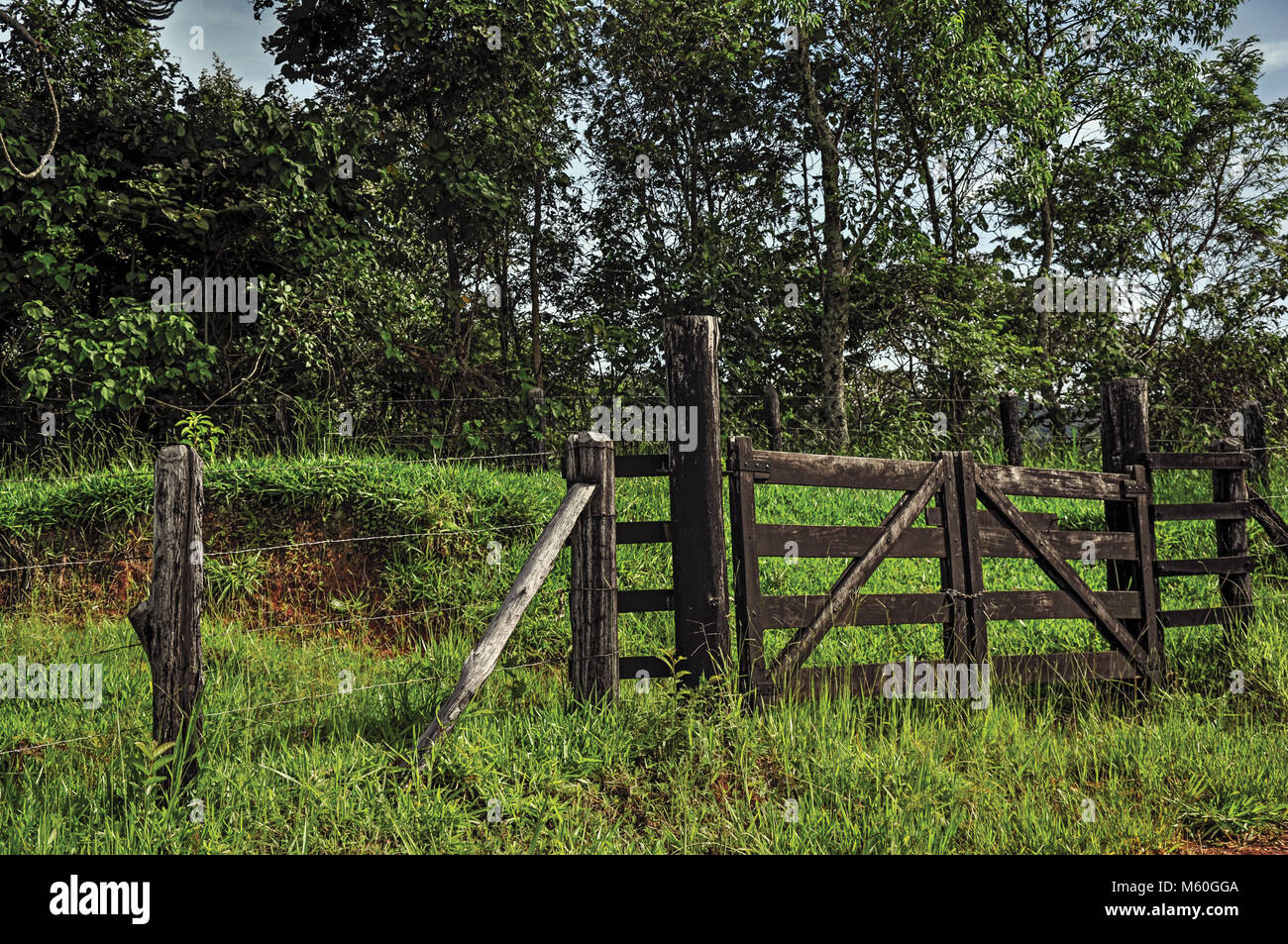 Farm gateway to the side of rural road near Joanopolis. In the ...