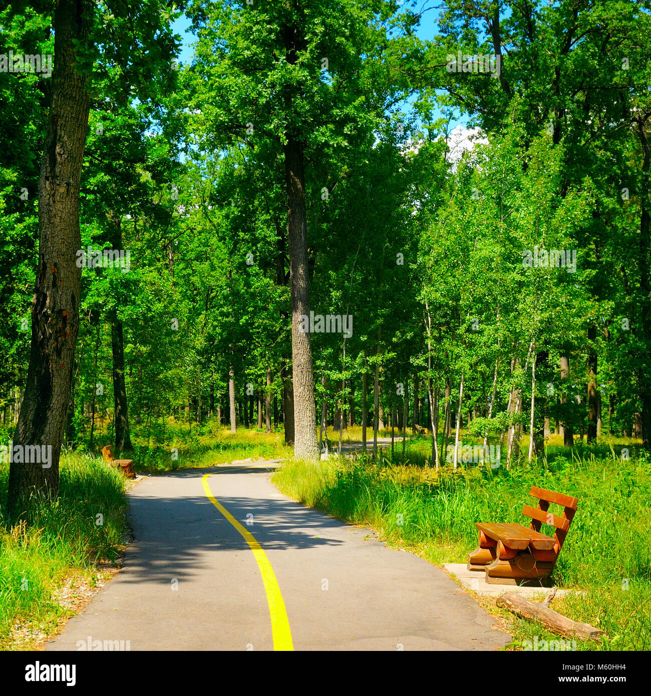 summer park with beautiful walking paths Stock Photo - Alamy