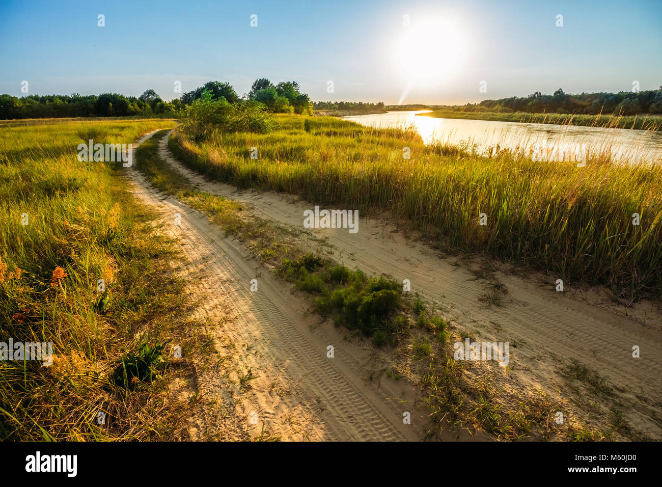 Summer river landscape with a road in a field near a river in field ...