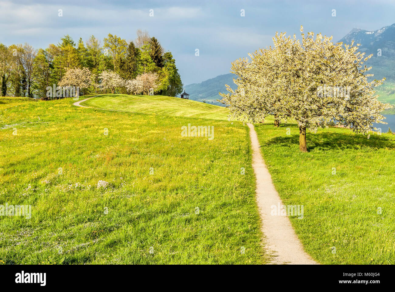 Scenic spring landscape at the Meggenhorn at Lake Lucerne, Switzerland ...