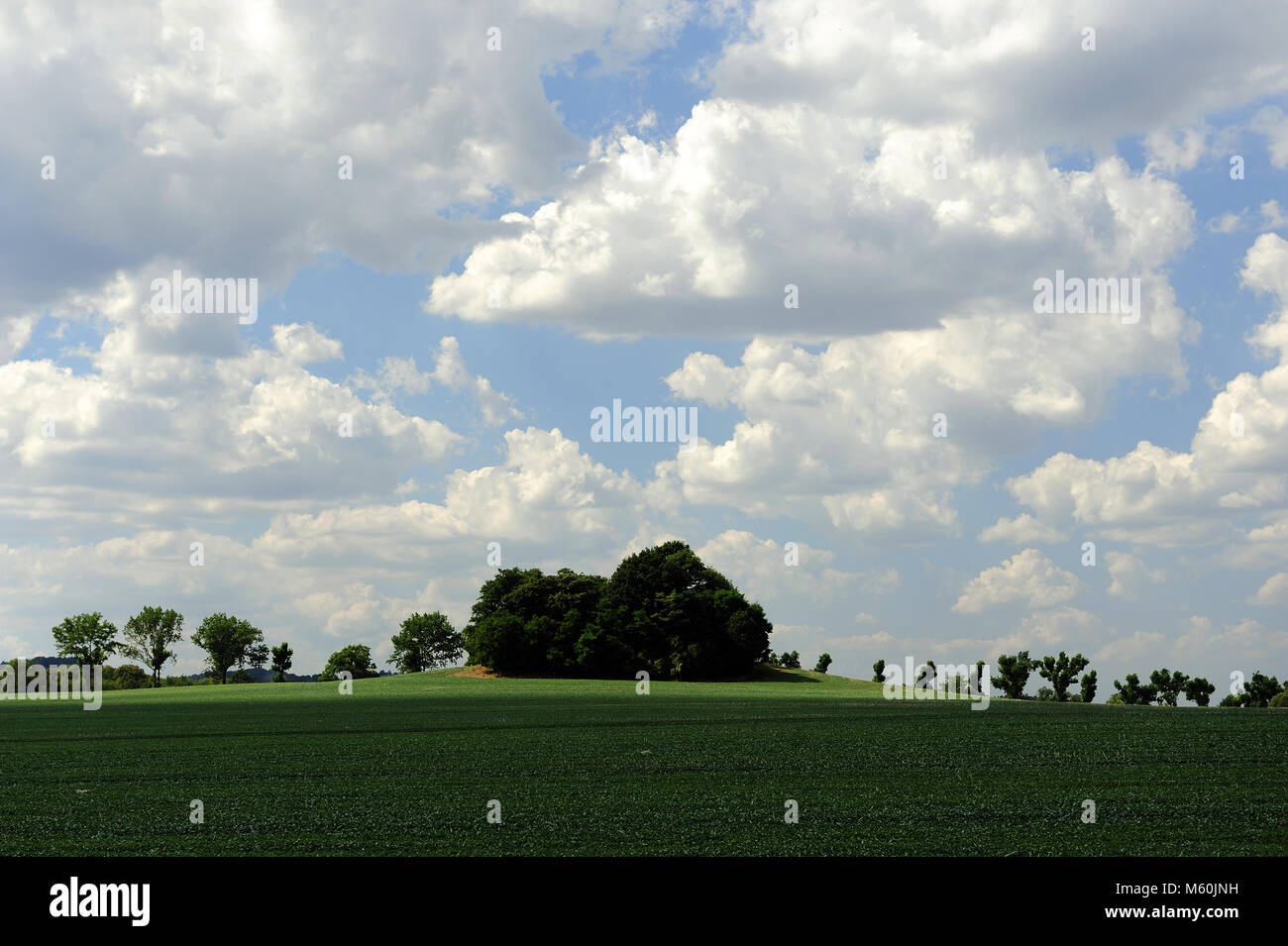 air, atmosphere, blue, climate, clouds, cumulus, nature, season, sky ...
