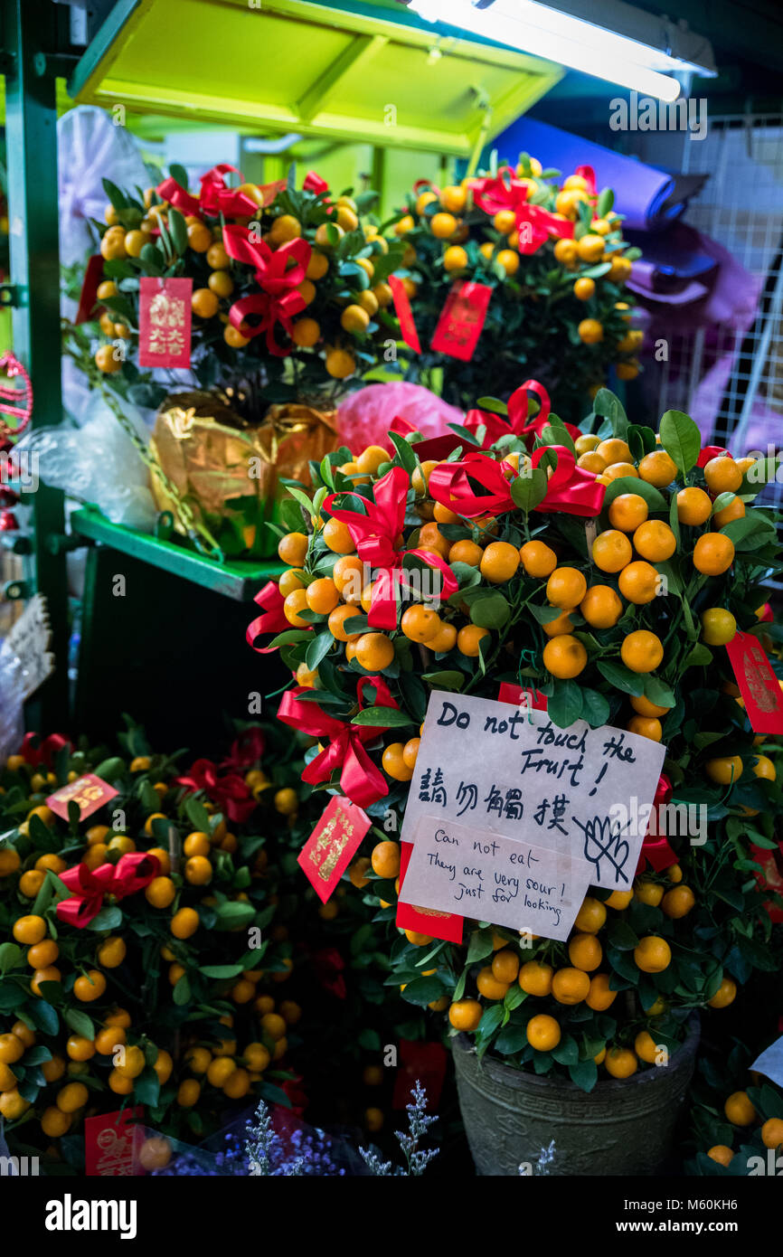 T fruit hi-res stock photography and images - Alamy
