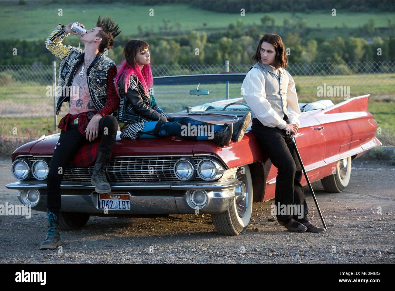 Kelly Marks High Resolution Stock Photography and Images - Alamy