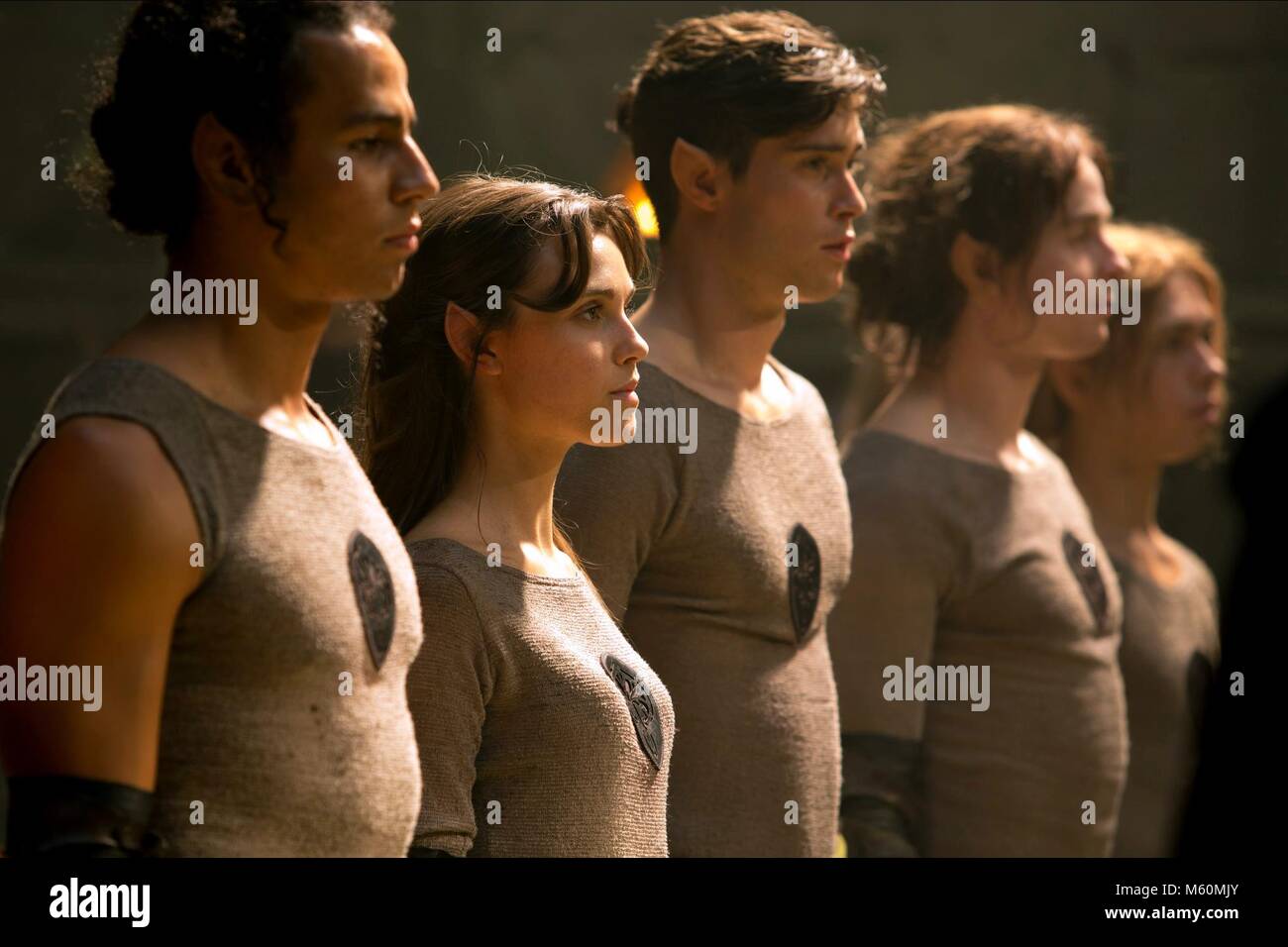 Poppy Group High Resolution Stock Photography and Images - Alamy