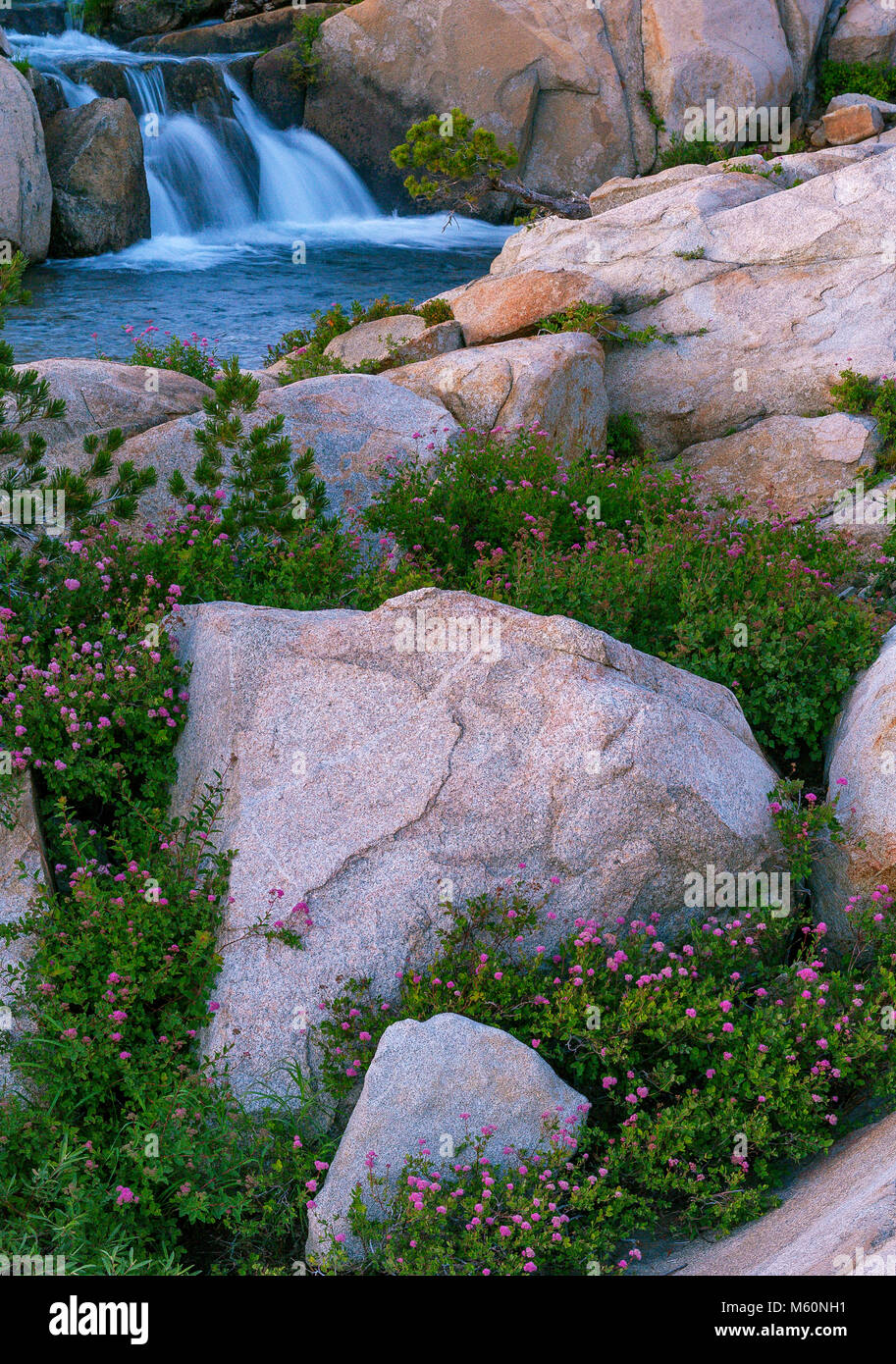 Waterfalls, Silver Creek, Twin Lakes, Desolation Wilderness, El Dorado ...