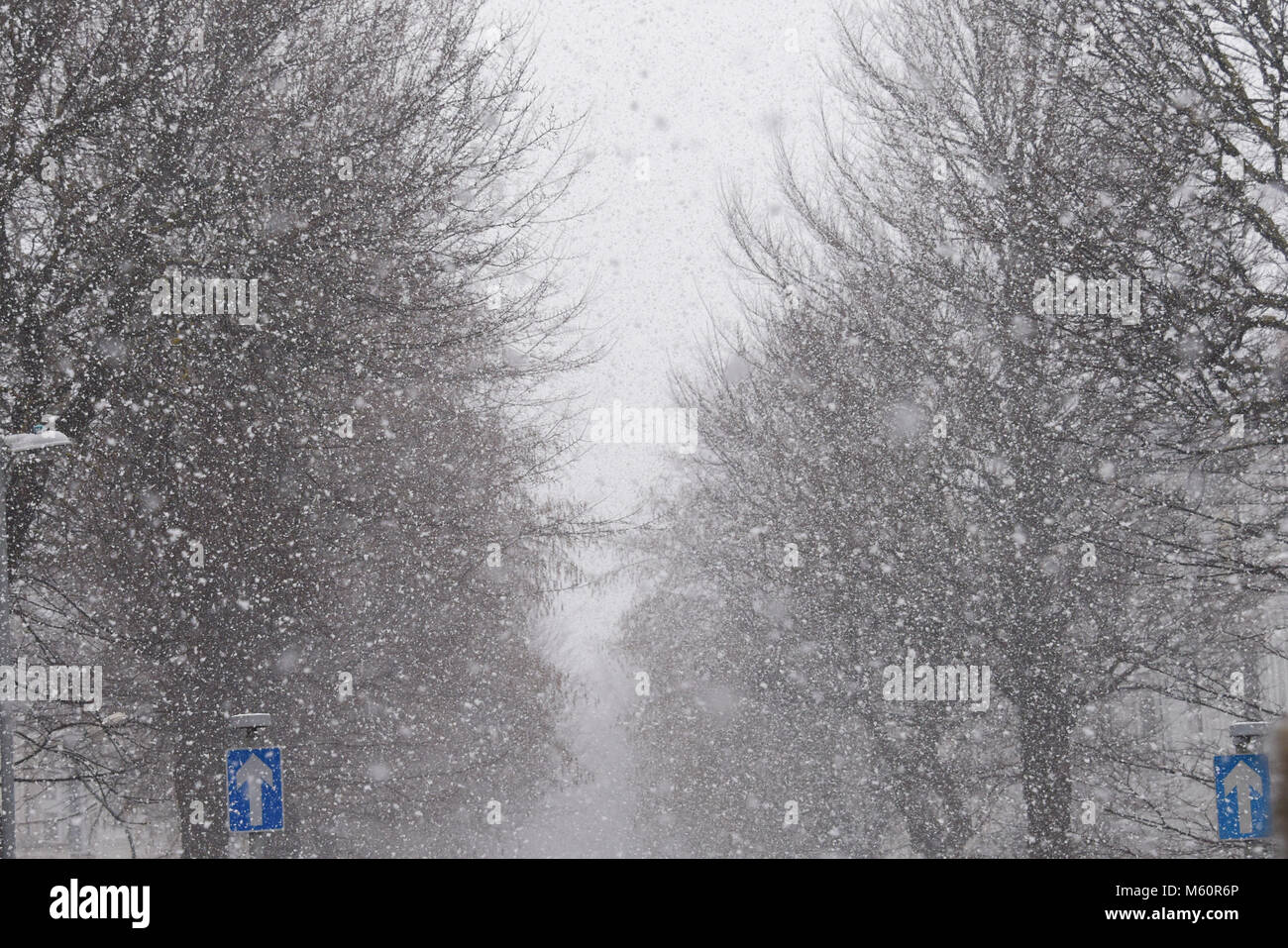 Heavy snow falls snowing on hi-res stock photography and images - Alamy