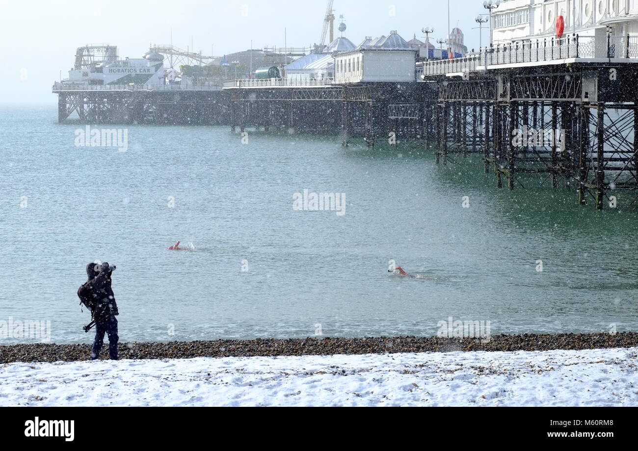 Brighton beach swim cold hi-res stock photography and images - Alamy