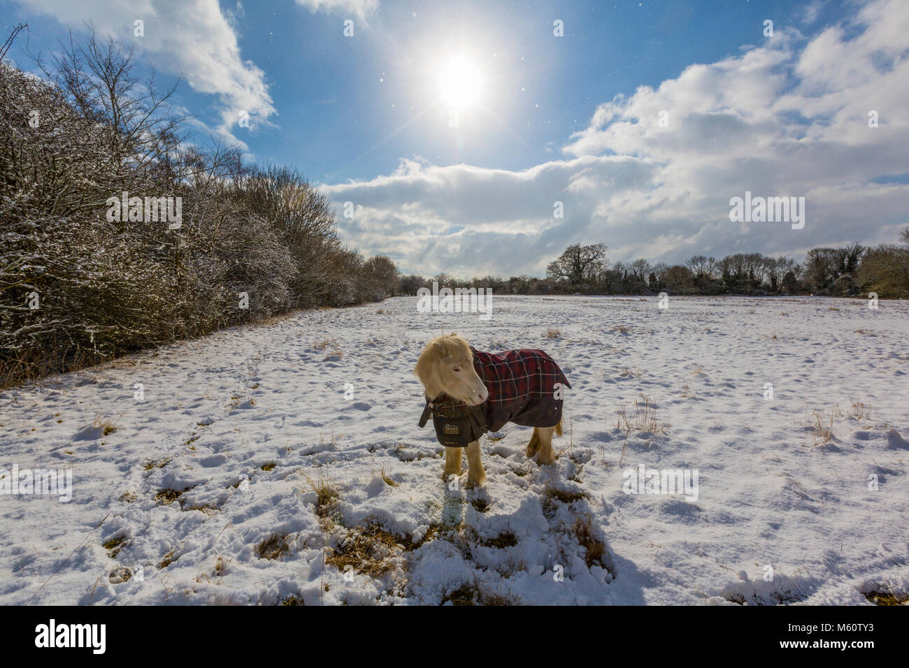 Hoxne, Suffolk, UK. 27th Feb, 2018. UK Weather: Snow news. More snow ...