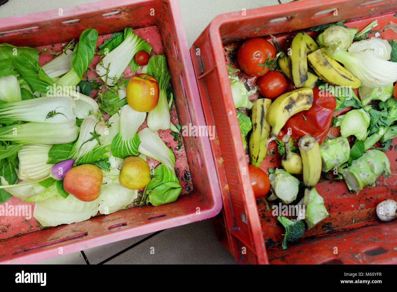 Not edible groceries, Germany,city of Osterode, 27. February 2018 ...