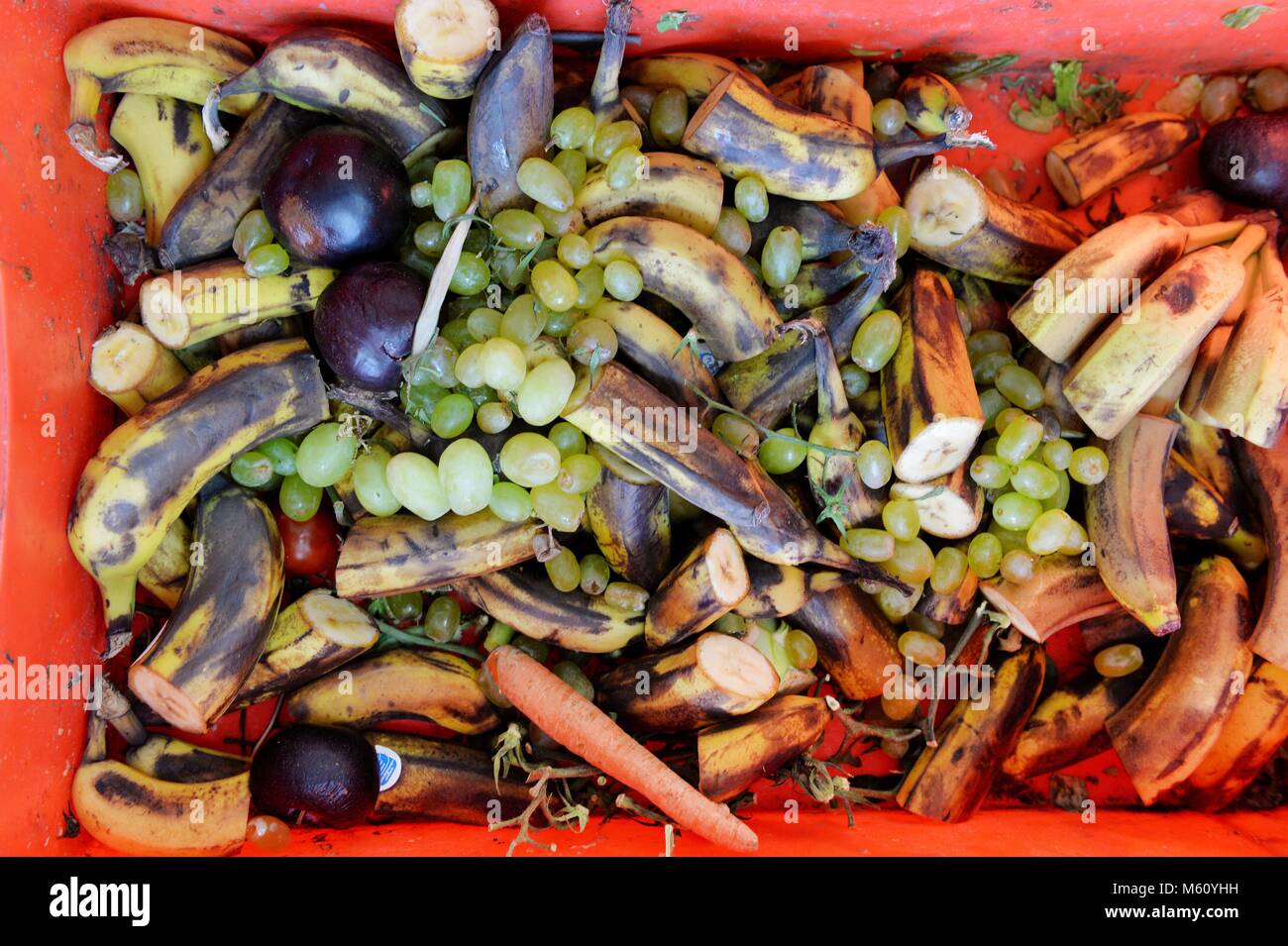 Not edible groceries, Germany,city of Osterode, 27. February 2018 ...