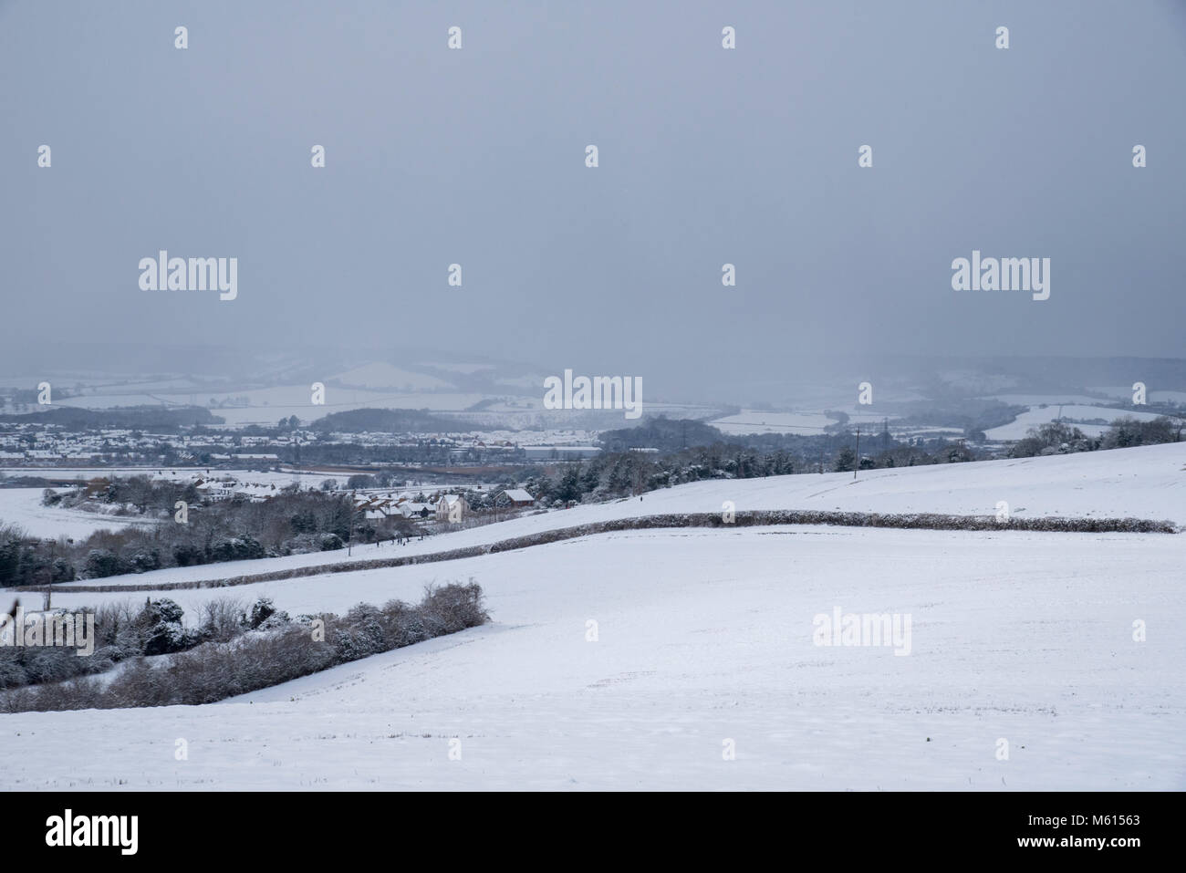 Bluebell hill maidstone hi-res stock photography and images - Alamy