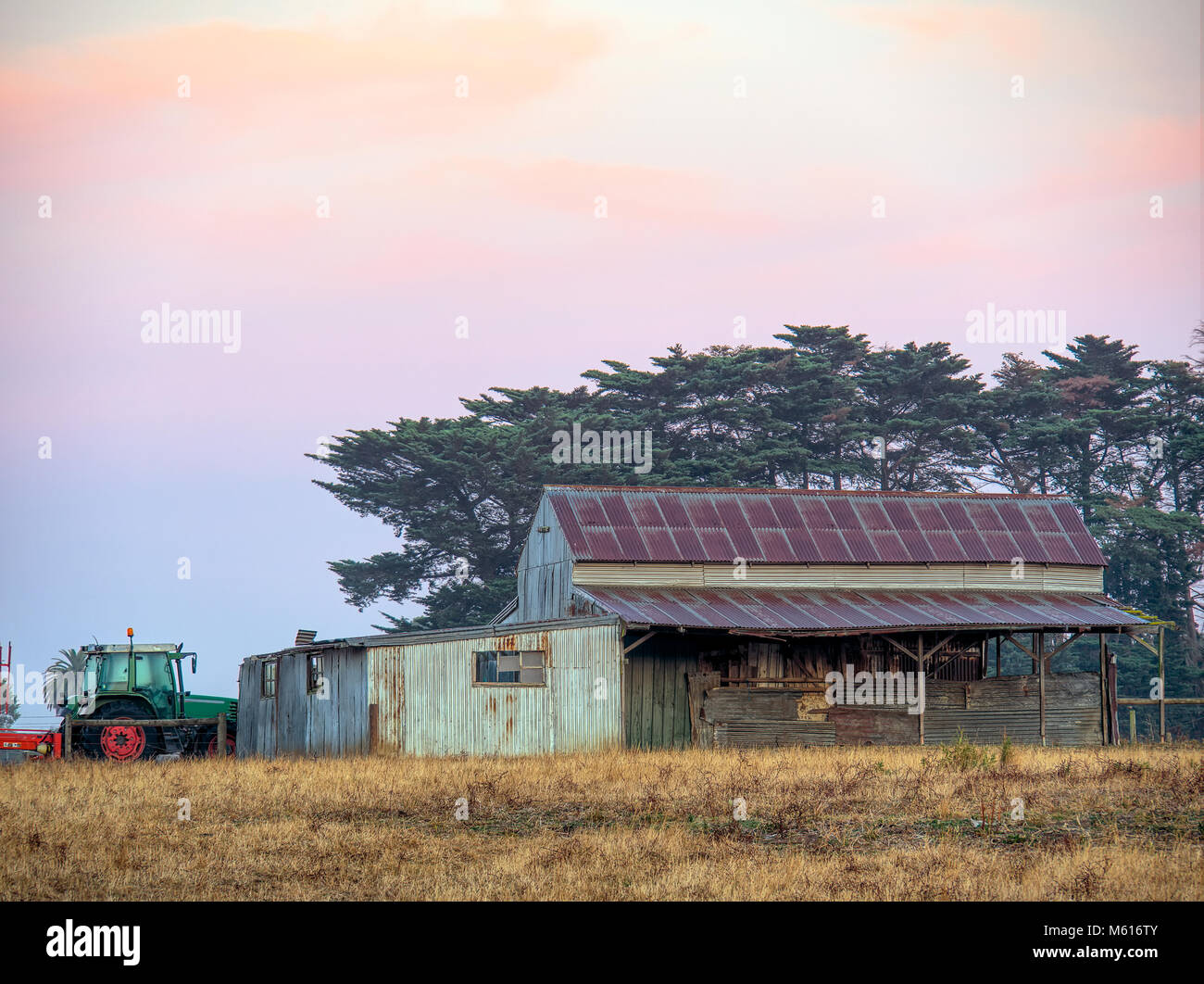 A run down farm shed in Australia in the early morning light with trees ...