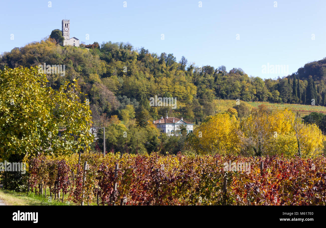 Collio hi-res stock photography and images - Alamy