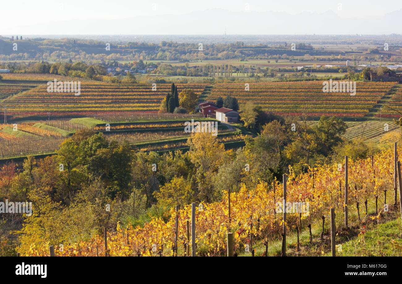 Collio region hi-res stock photography and images - Alamy