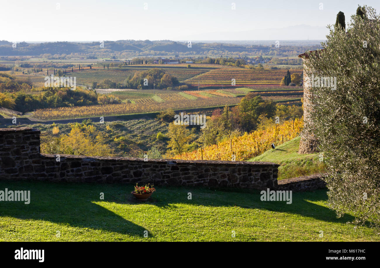 Collio hi-res stock photography and images - Alamy