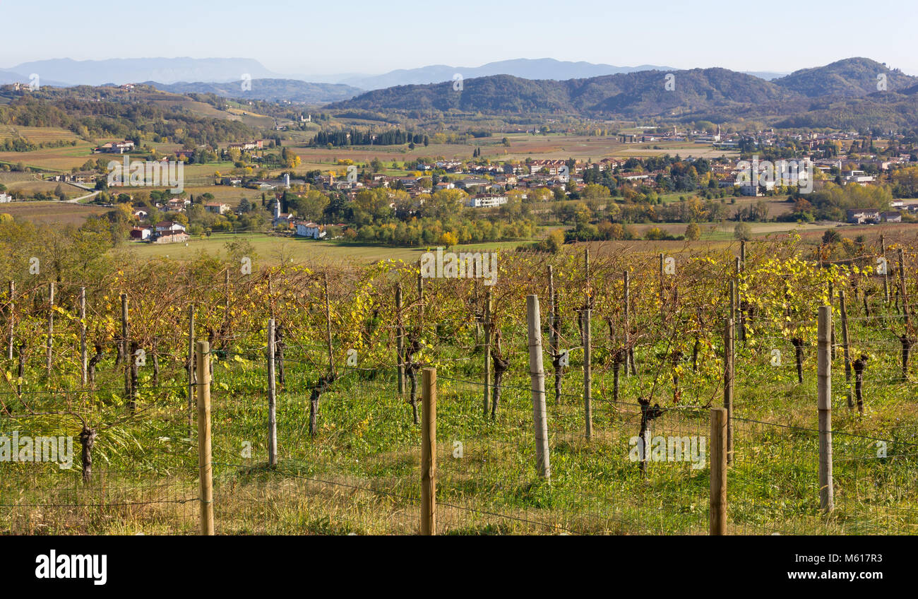Collio region hi-res stock photography and images - Alamy