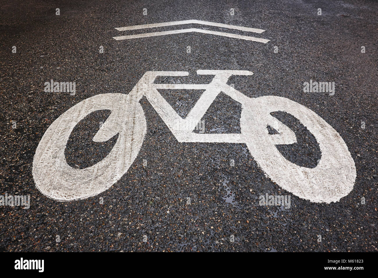 Bikes lane signal on an asphalt street. Urban background. Horizontal ...