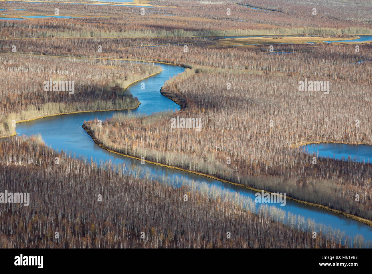 Top view perspective of autumn forest and river Stock Photo - Alamy