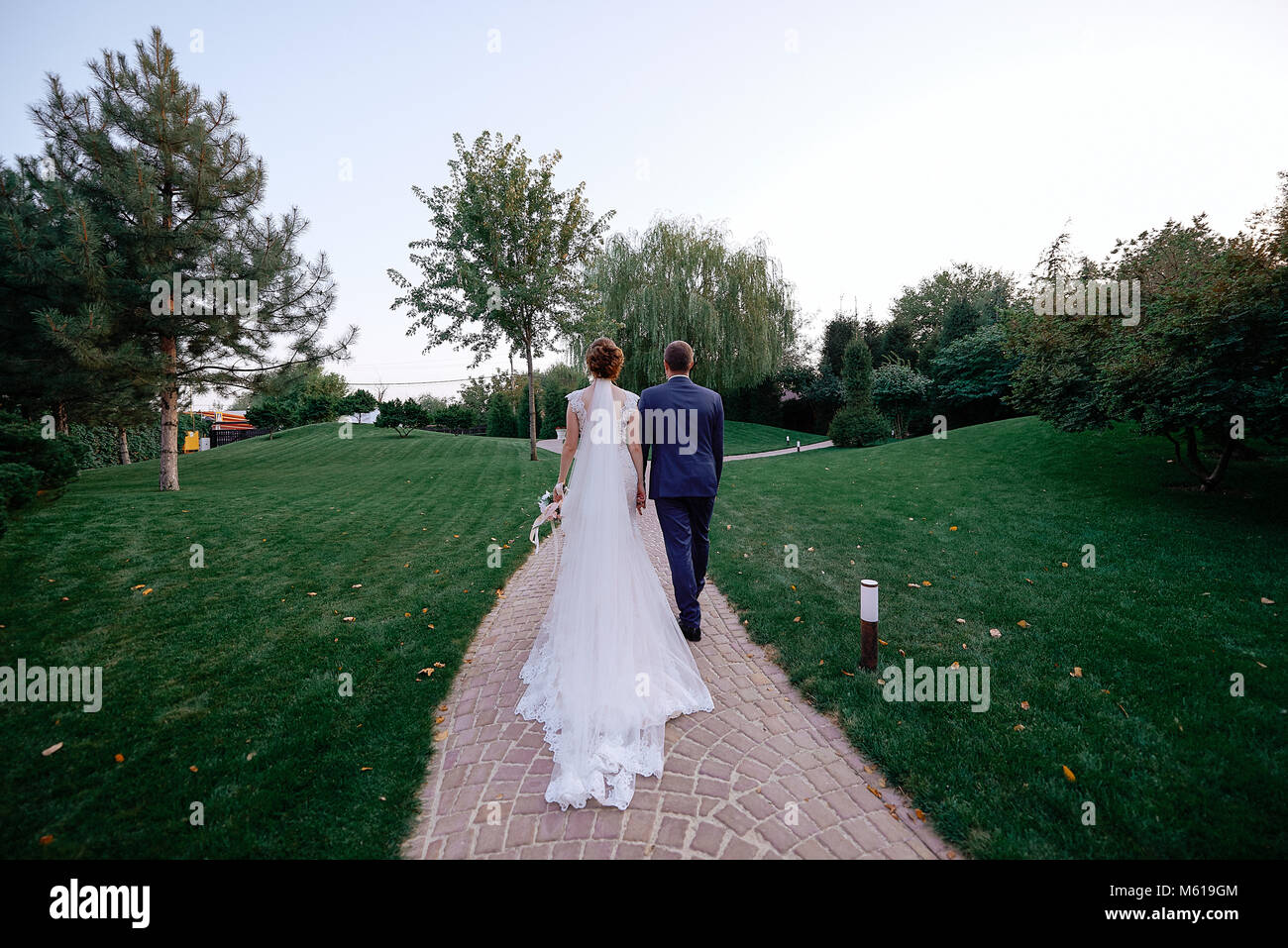 Bride and groom walk and hold hands on meadow Stock Photo - Alamy