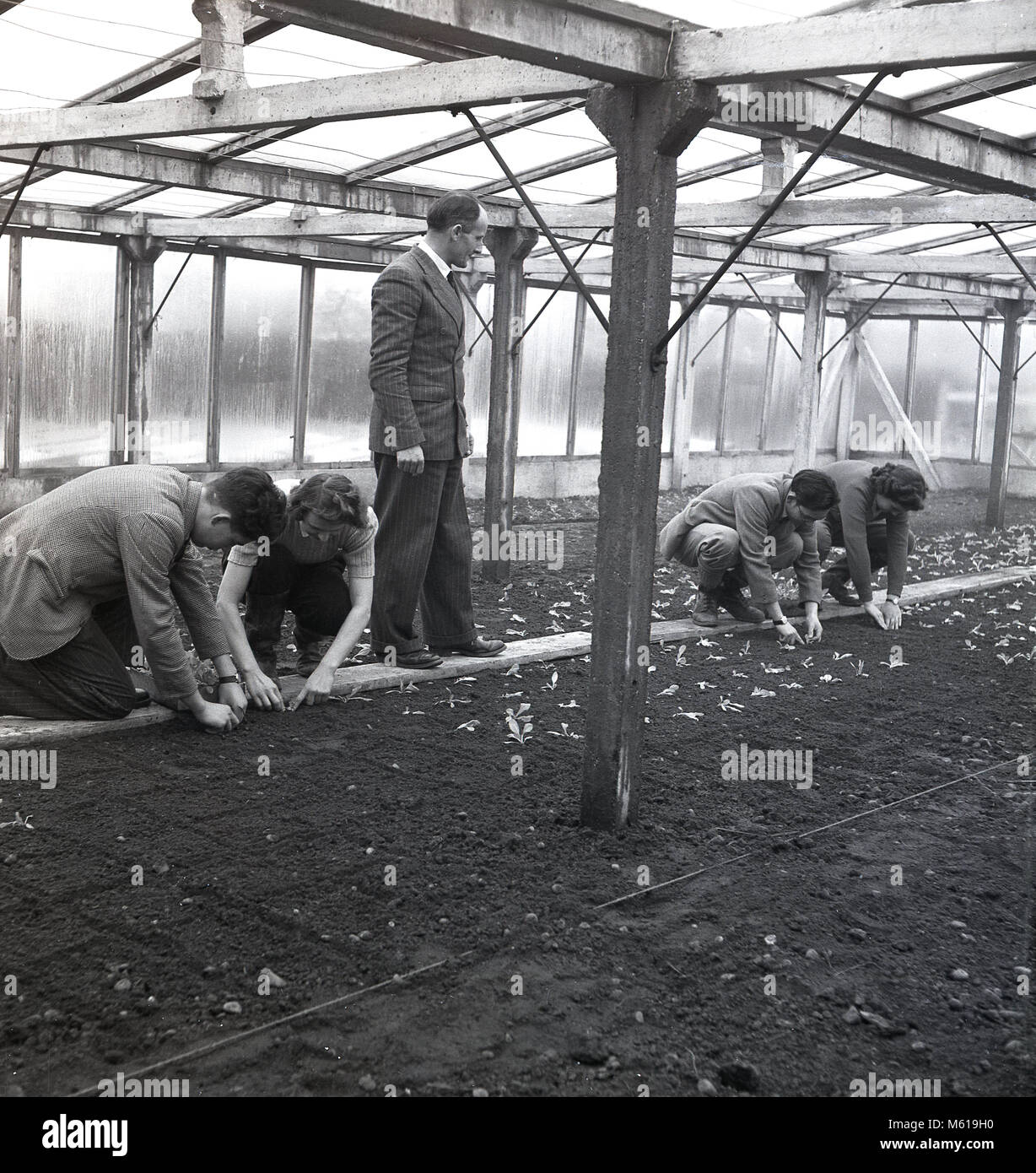 Farming 1950s Uk Stock Photos & Farming 1950s Uk Stock Images - Alamy