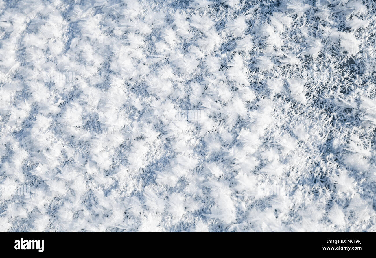 Close up photo of surface hoar, the most common form of hoarfrost ...