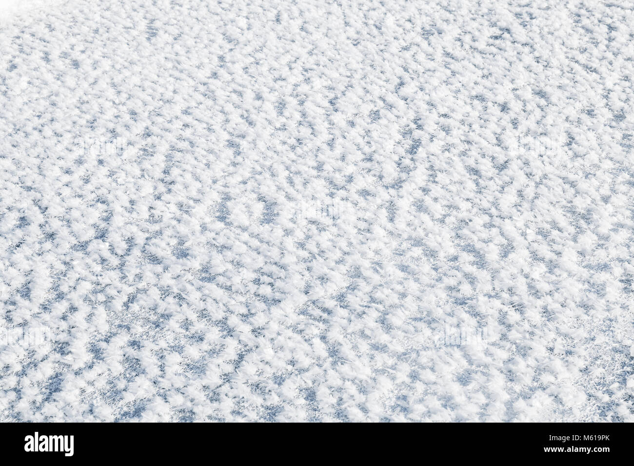 Surface hoar, the most common form of hoarfrost consists of fluffy ice ...