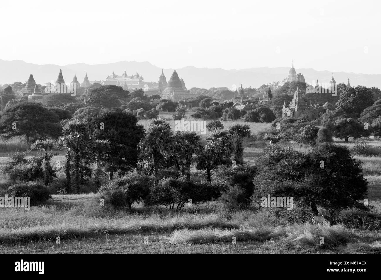 Ancient Temple in the Archaeological Park in Bagan after sunrise ...
