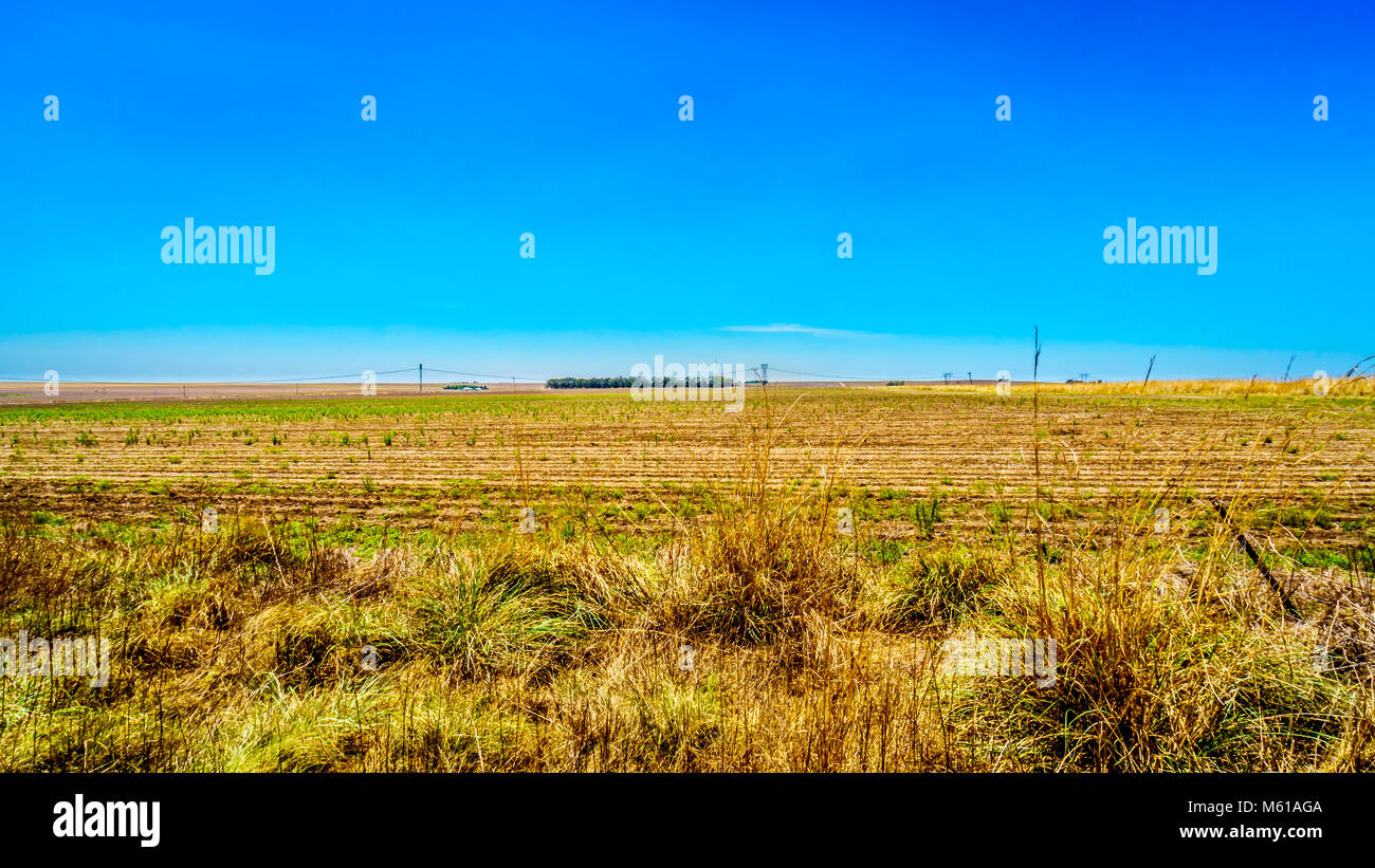 Standerton hi-res stock photography and images - Alamy
