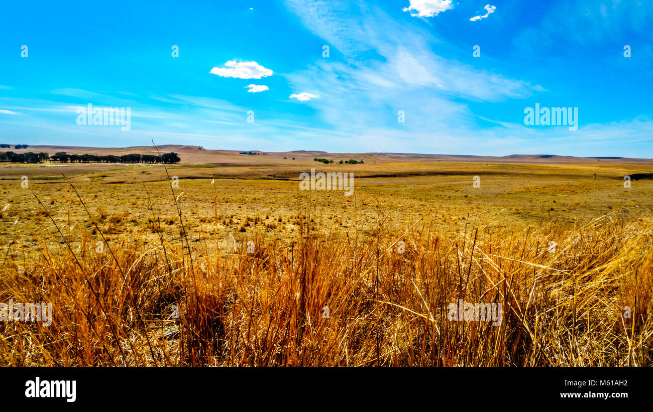 The wide open farmland and distant mountains along the N3 between ...