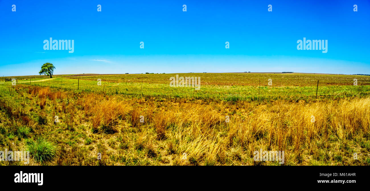 The wide open farmland along the R39 in the Vaal River region of ...