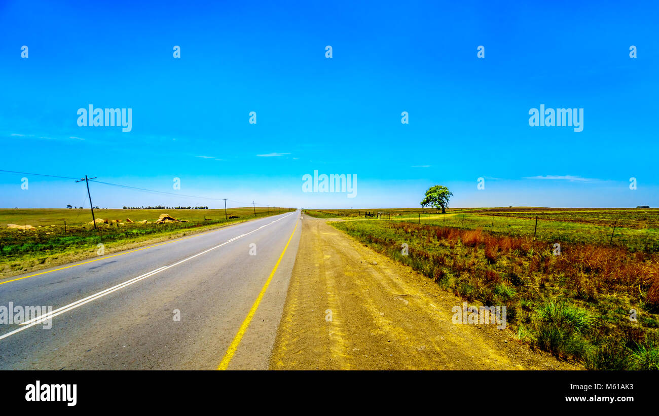 R39 highway, one of the many straight roads in South Africa, between ...
