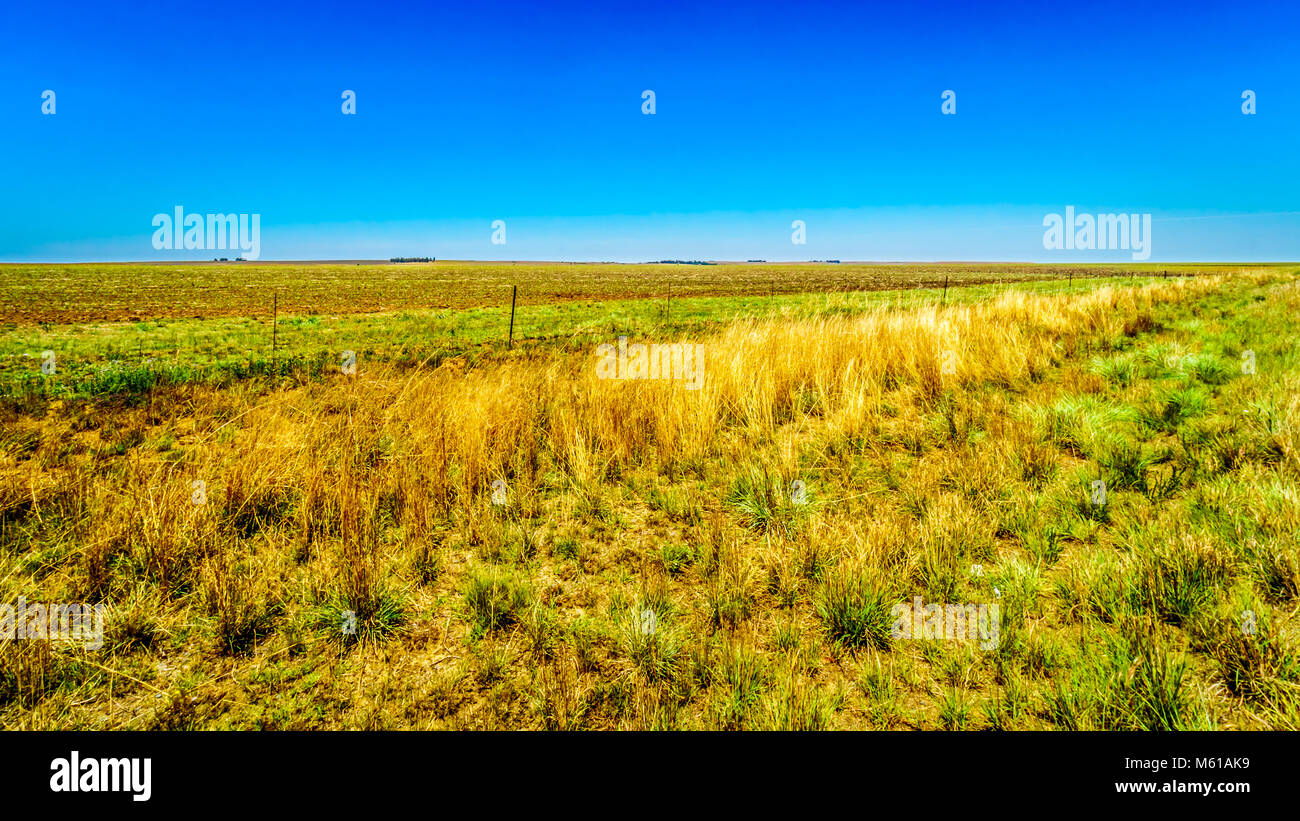 The wide open farmland along the R39 in the Vaal River region of ...