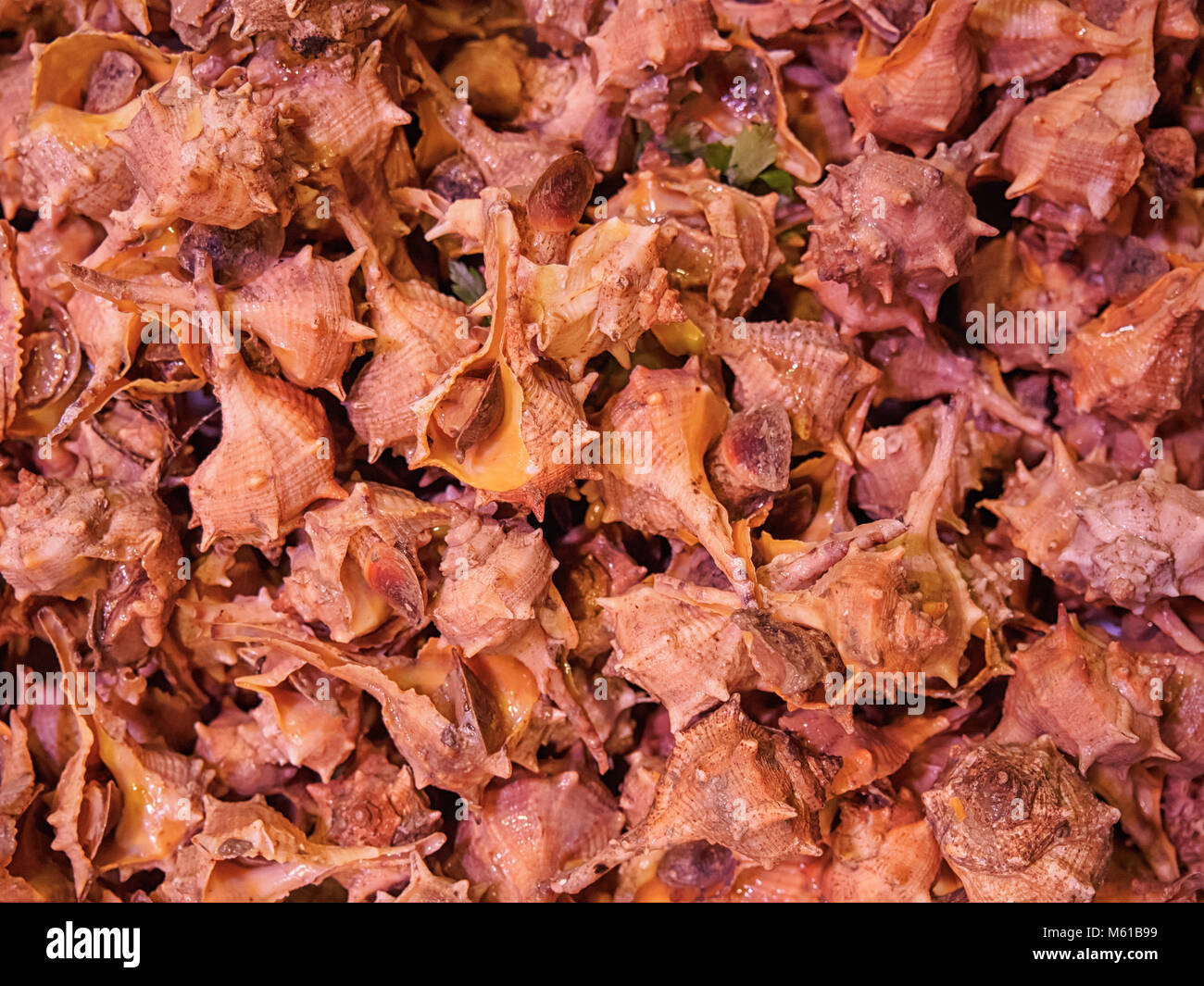 Fresh Rapana background Stock Photo - Alamy
