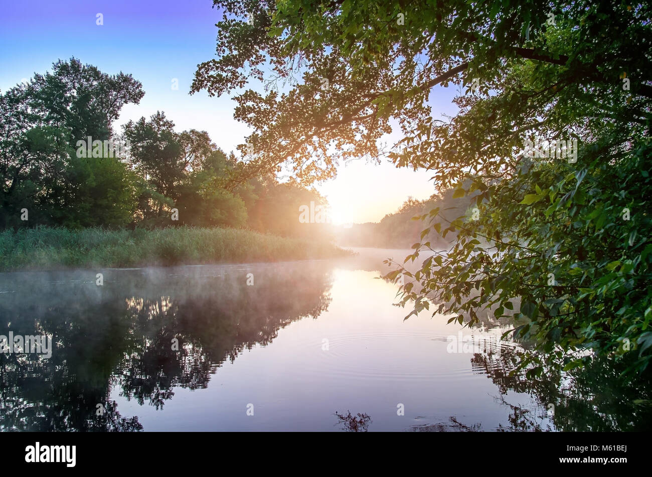Tranquil early morning river scene hi-res stock photography and images ...