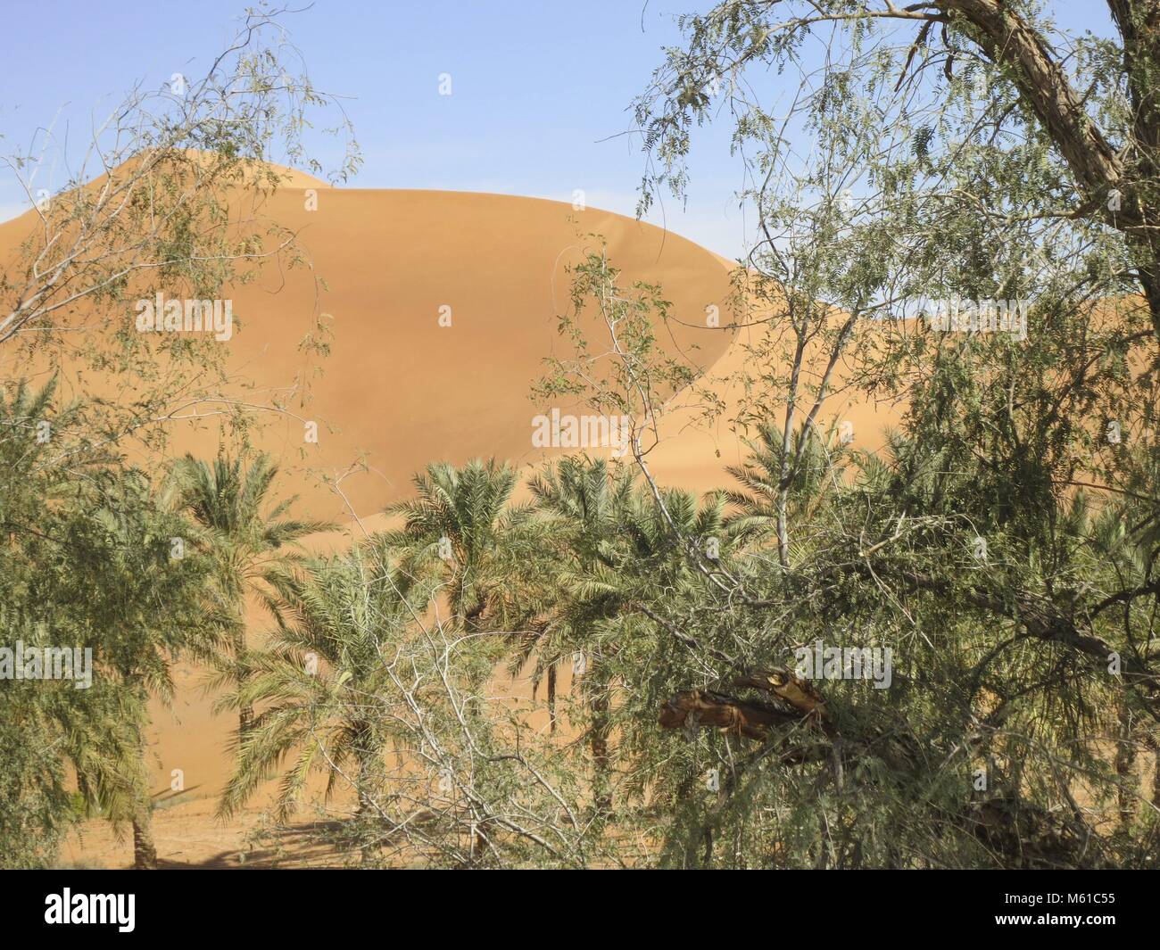 A highway through an impressive desert landscape connects the oasis ...